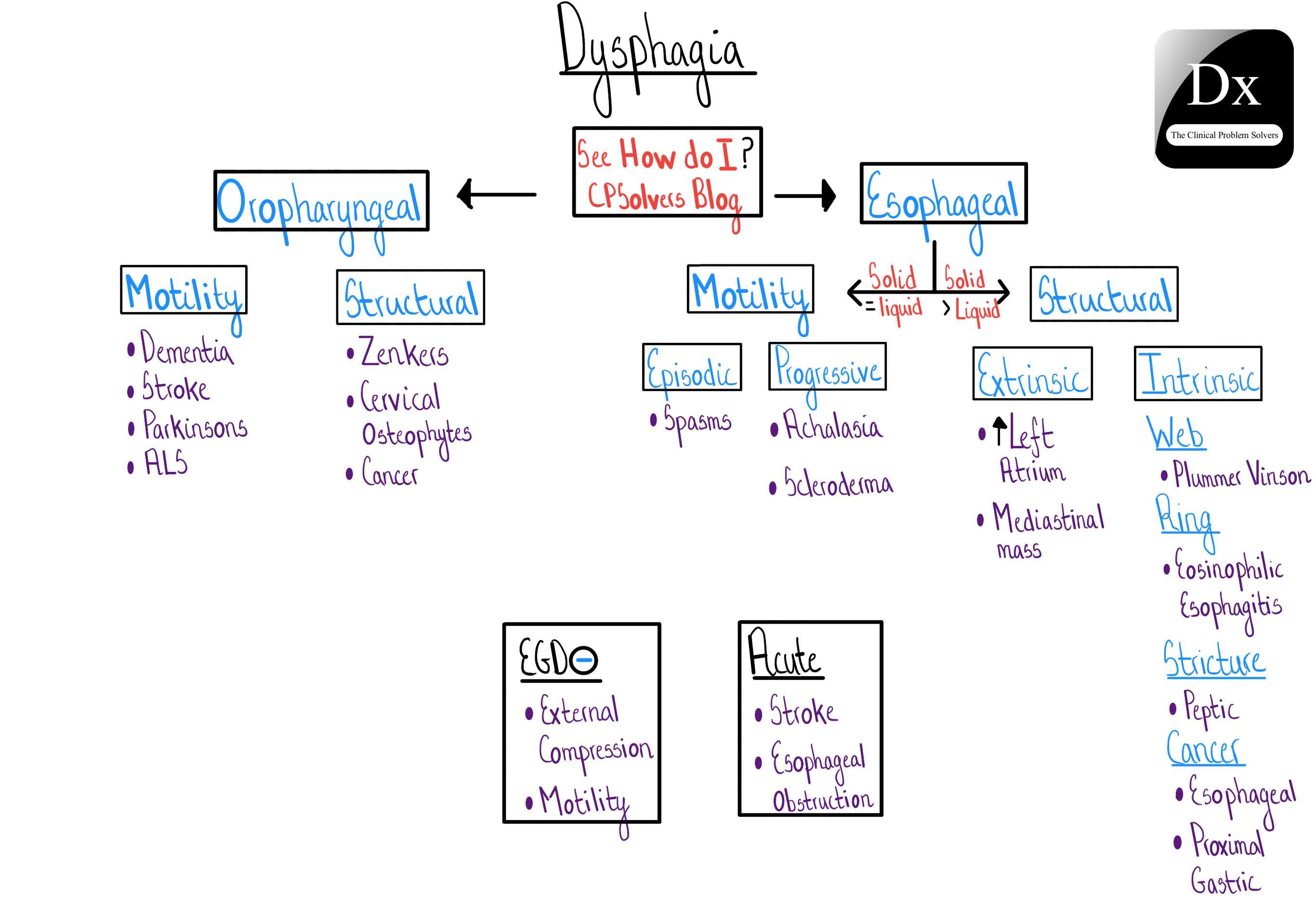 Dx Schema – Dysphagia – The Clinical Problem Solvers