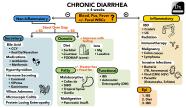 Dx Schema Chronic Diarrhea The Clinical Problem Solvers
