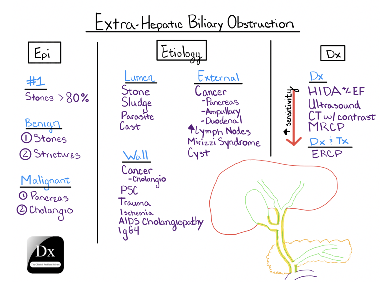 Dx schema – Extra-Hepatic Biliary Obstruction – The Clinical Problem ...