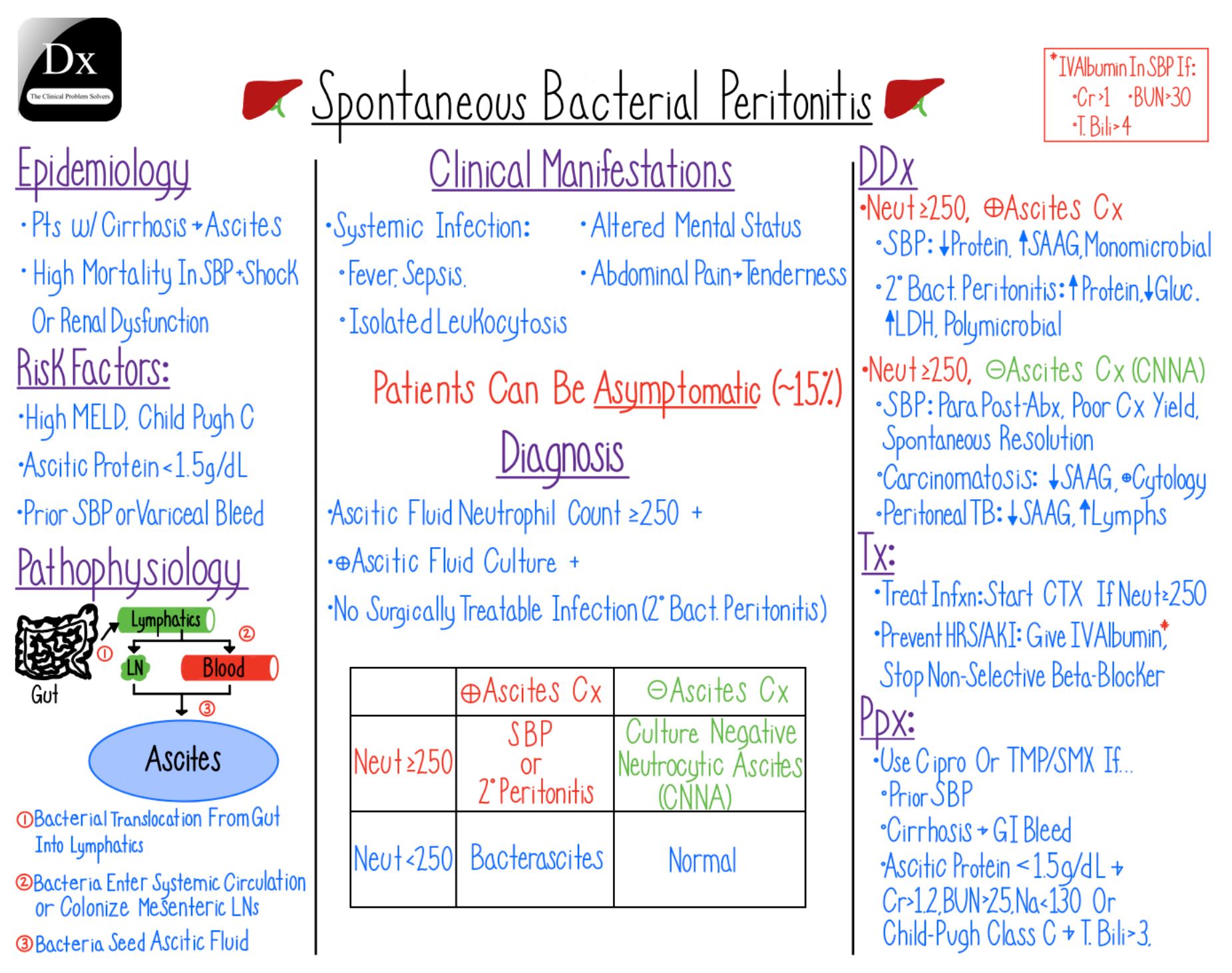 Spontaneous Bacterial Peritonitis Illness Script The Clinical Problem