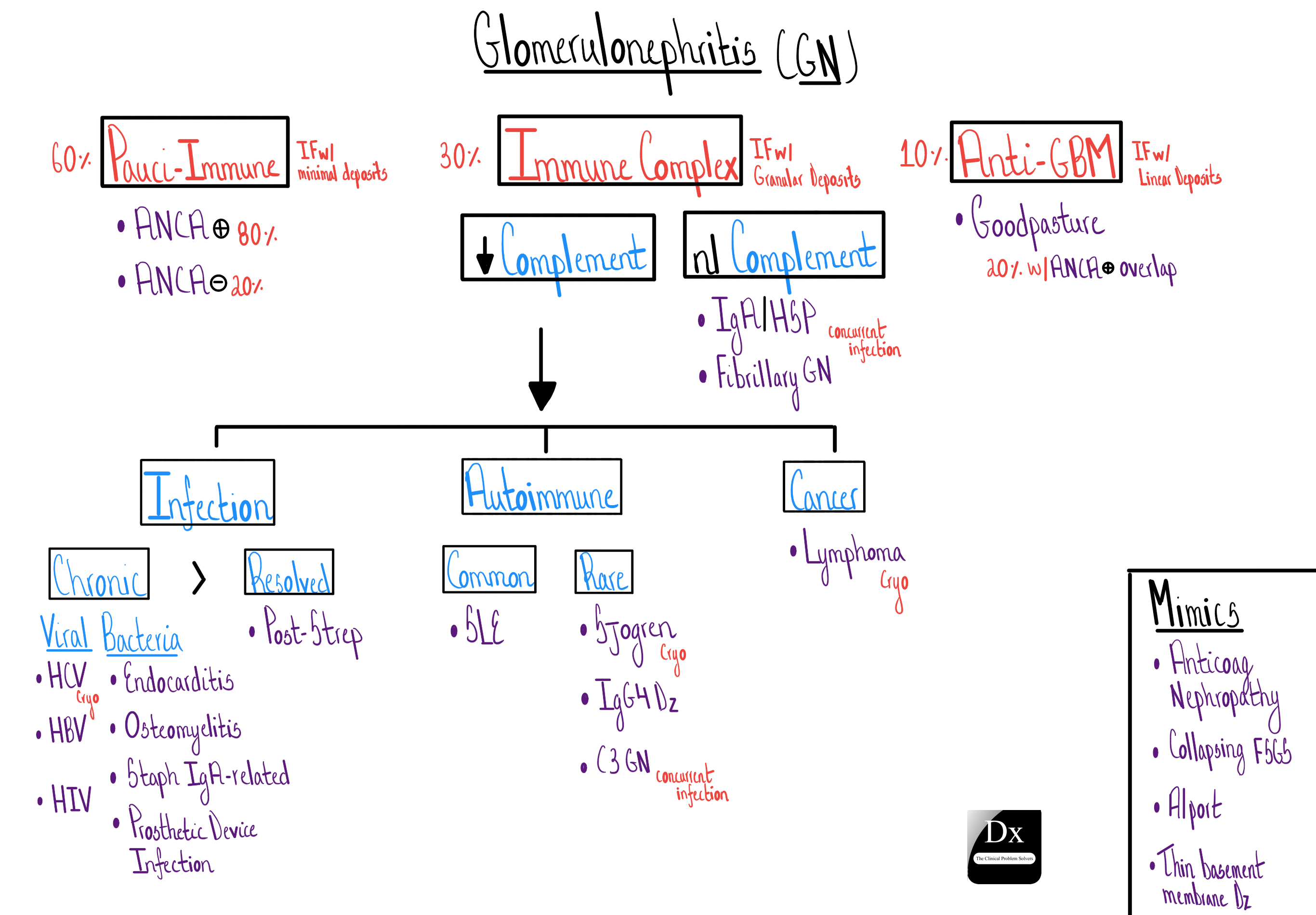 Dx Schema – Glomerulonephritis – The Clinical Problem Solvers