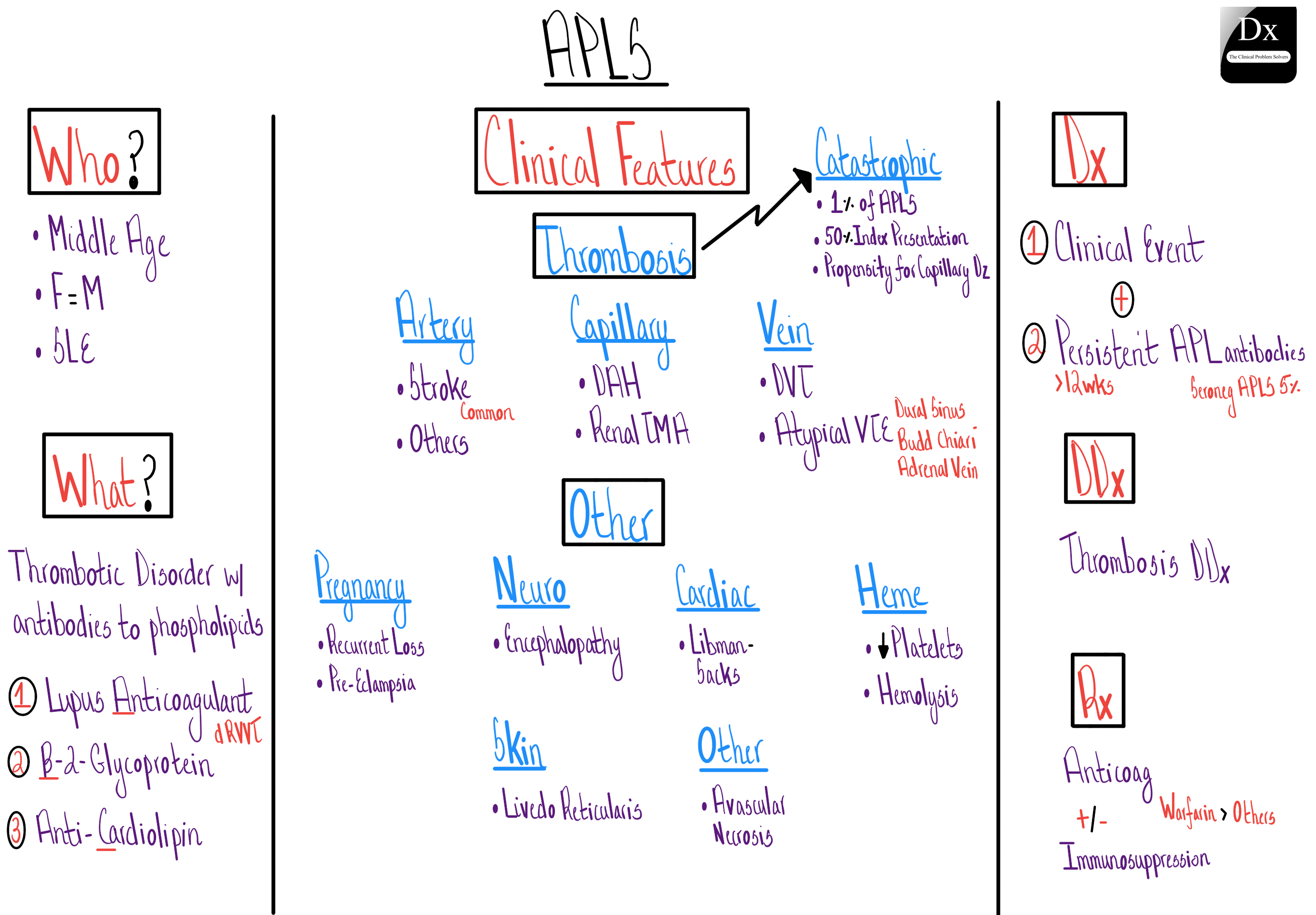 Antiphospholipid Syndrome – The Clinical Problem Solvers