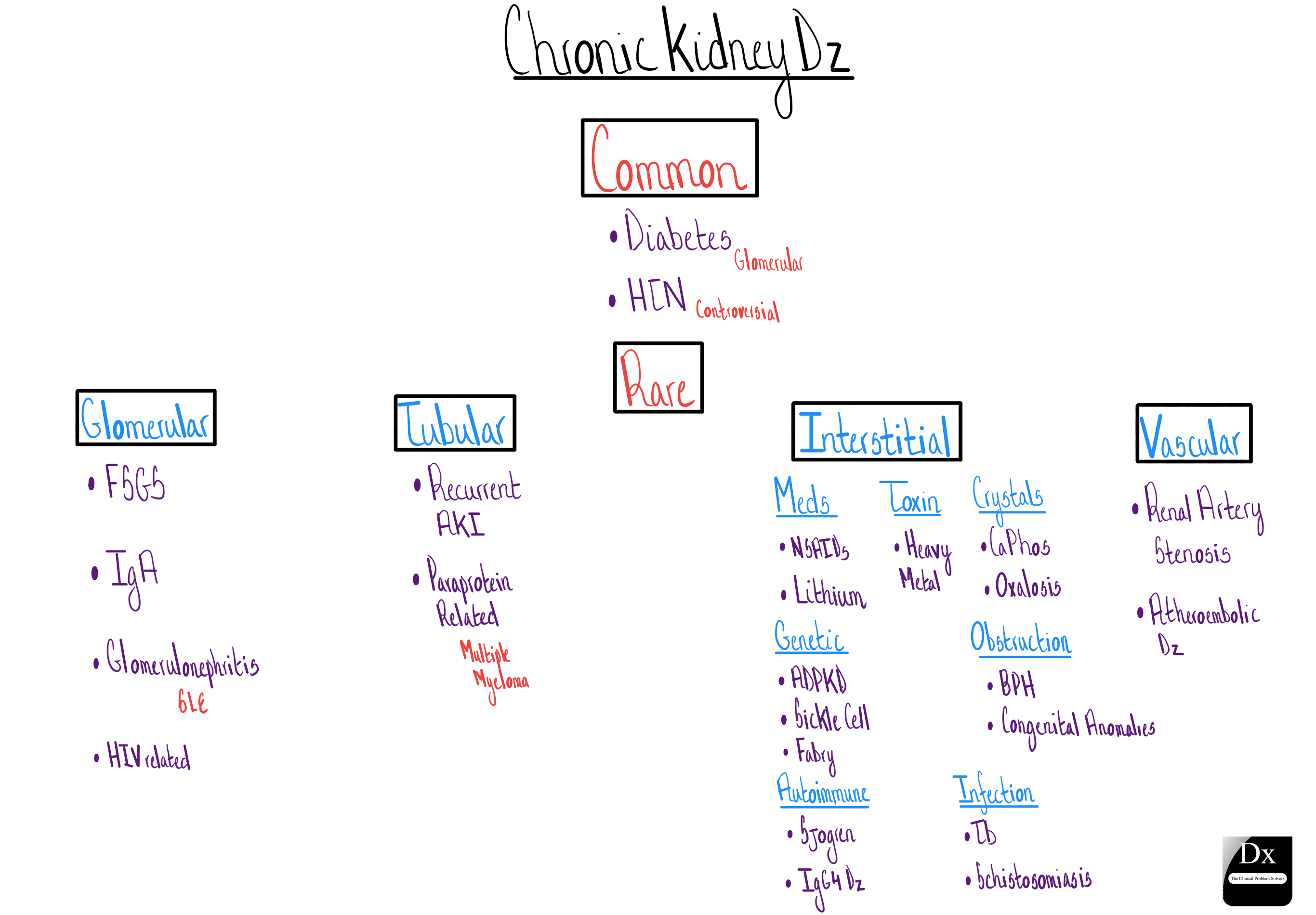 Chronic Kidney Disease – The Clinical Problem Solvers
