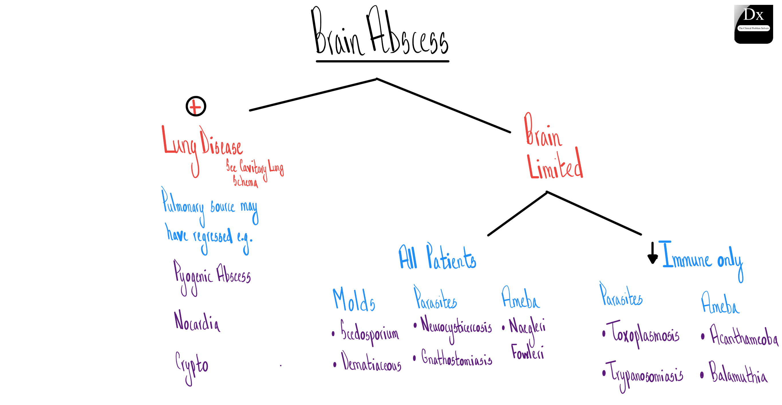 Brain Abscess – The Clinical Problem Solvers