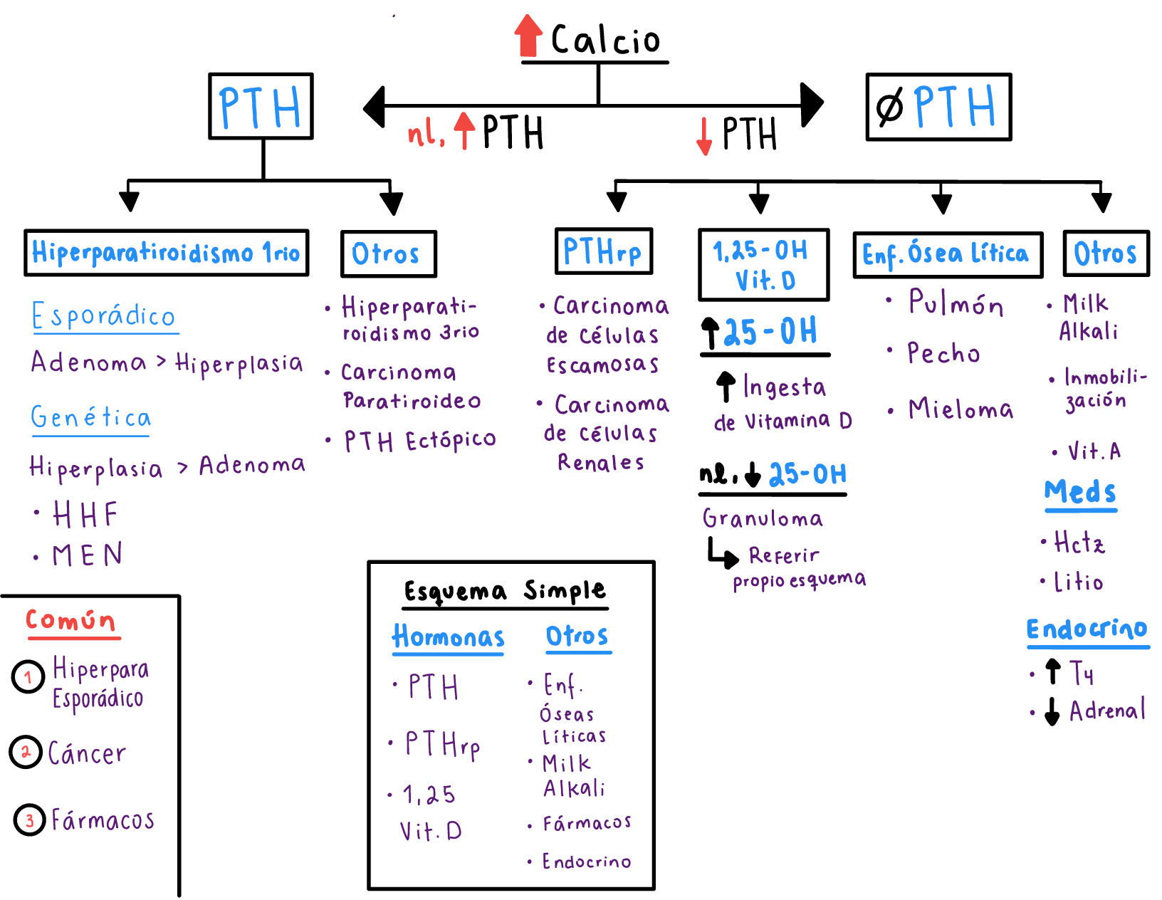 Hipercalcemia – The Clinical Problem Solvers