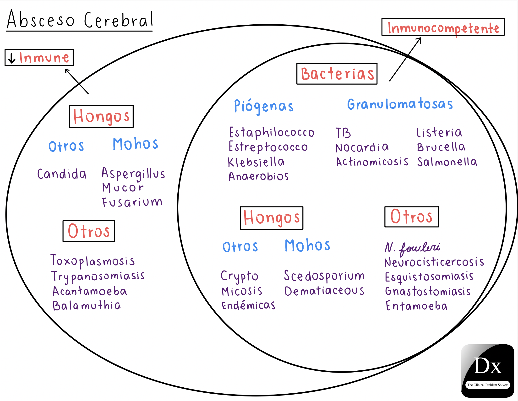 Absceso Cerebral – The Clinical Problem Solvers