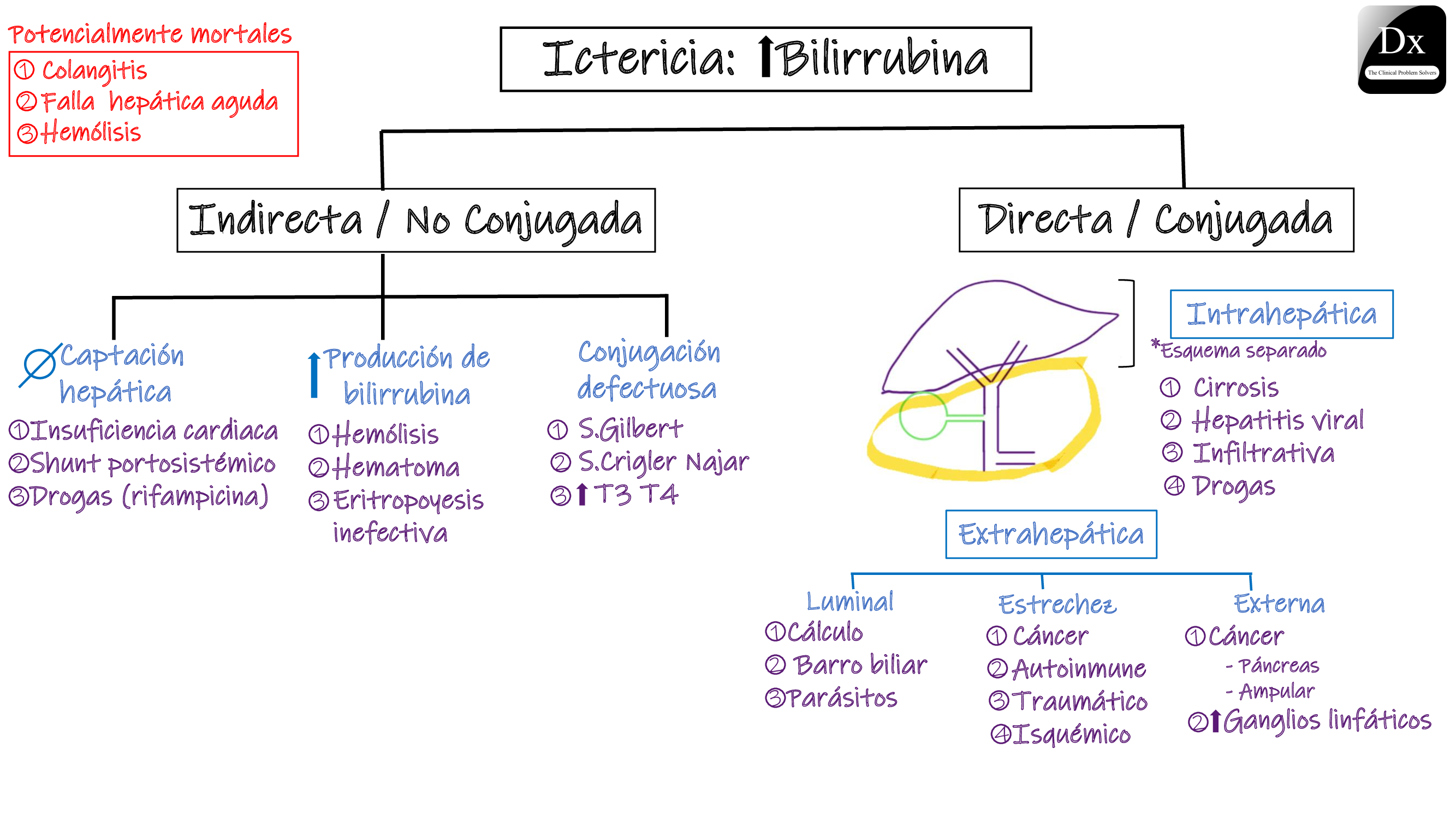 Tipos De Ictericia Pdf , Enfoque práctico del paciente con ictericia ...