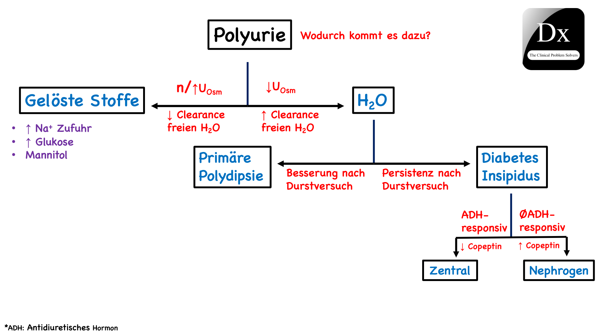 Polyurie – The Clinical Problem Solvers