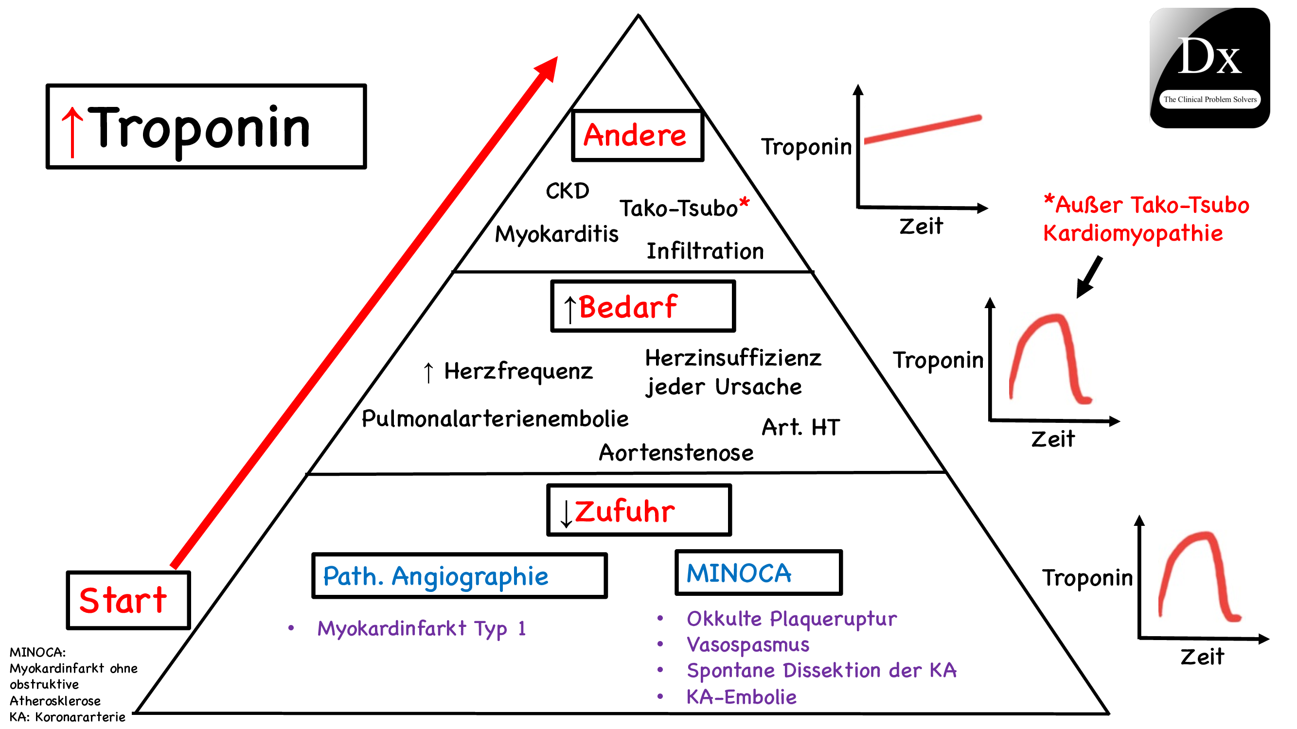 Troponin – The Clinical Problem Solvers