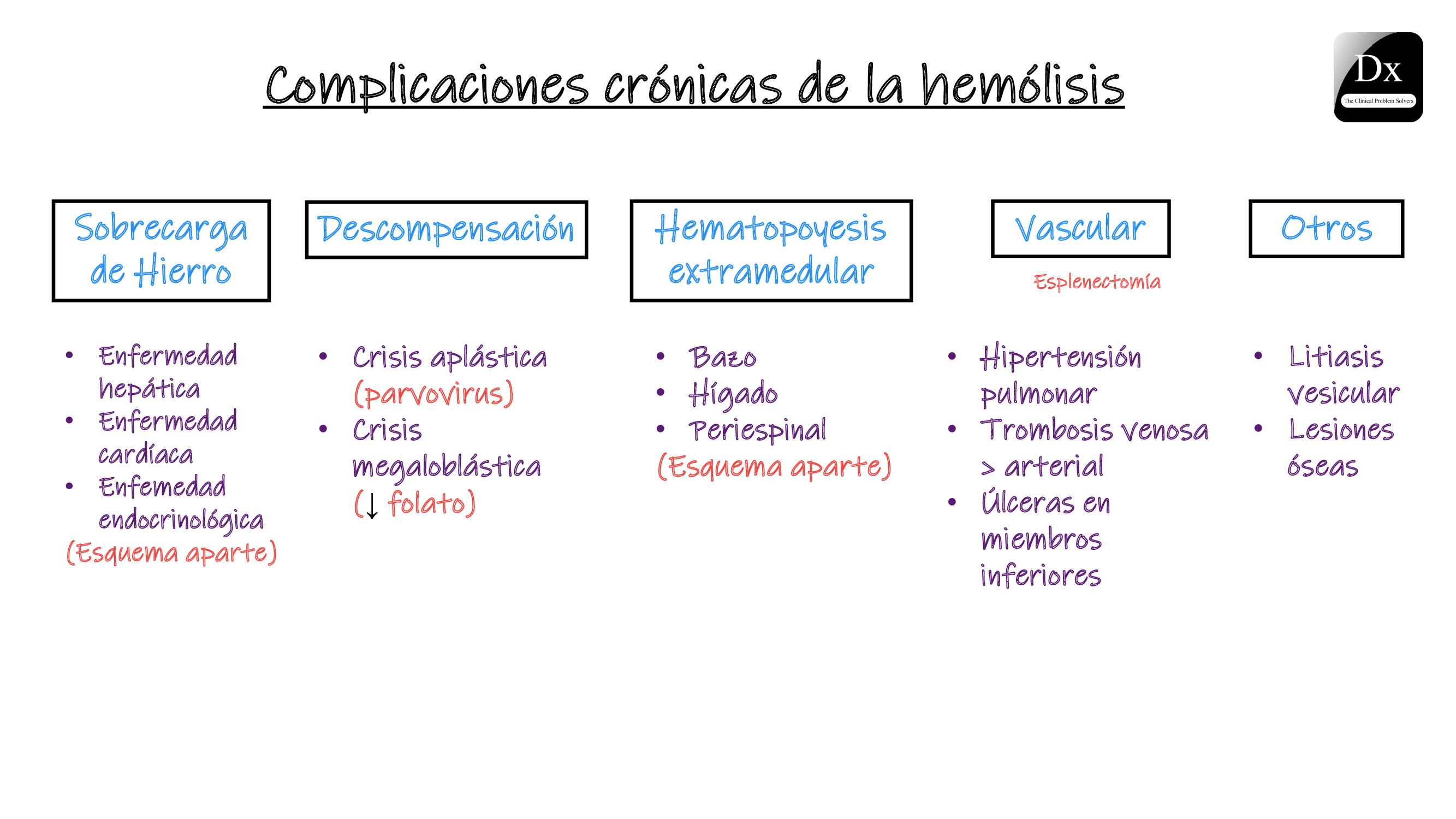 Hemólisis – Complicaciones crónicas de la hemólisis – The Clinical ...