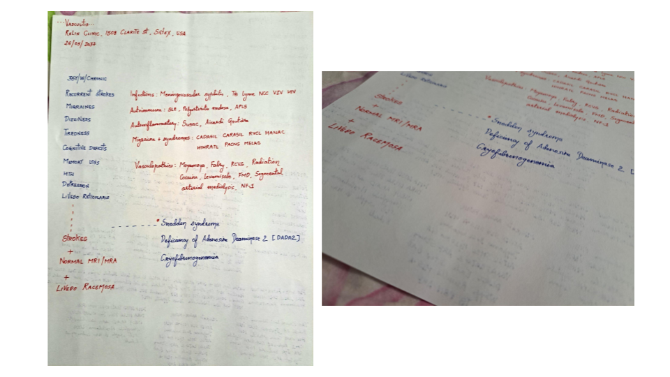 Untitled presentation (3) – The Clinical Problem Solvers